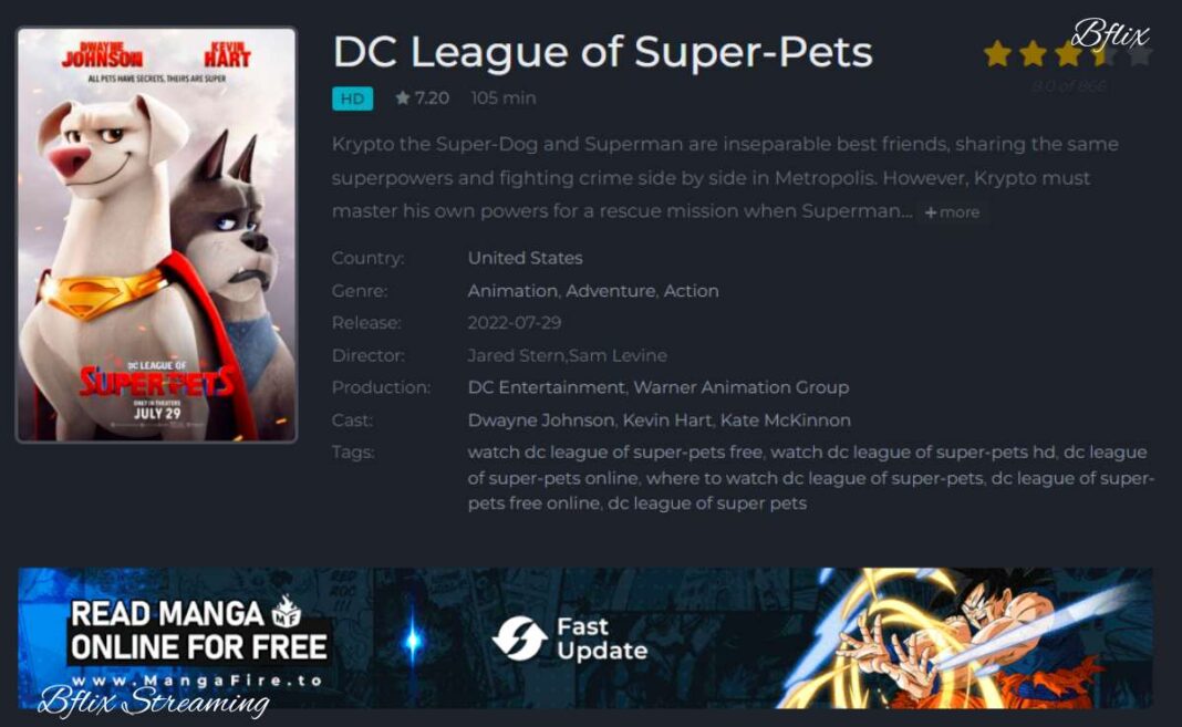 BFlix - The New Platform To Watch Your Favorite Movies